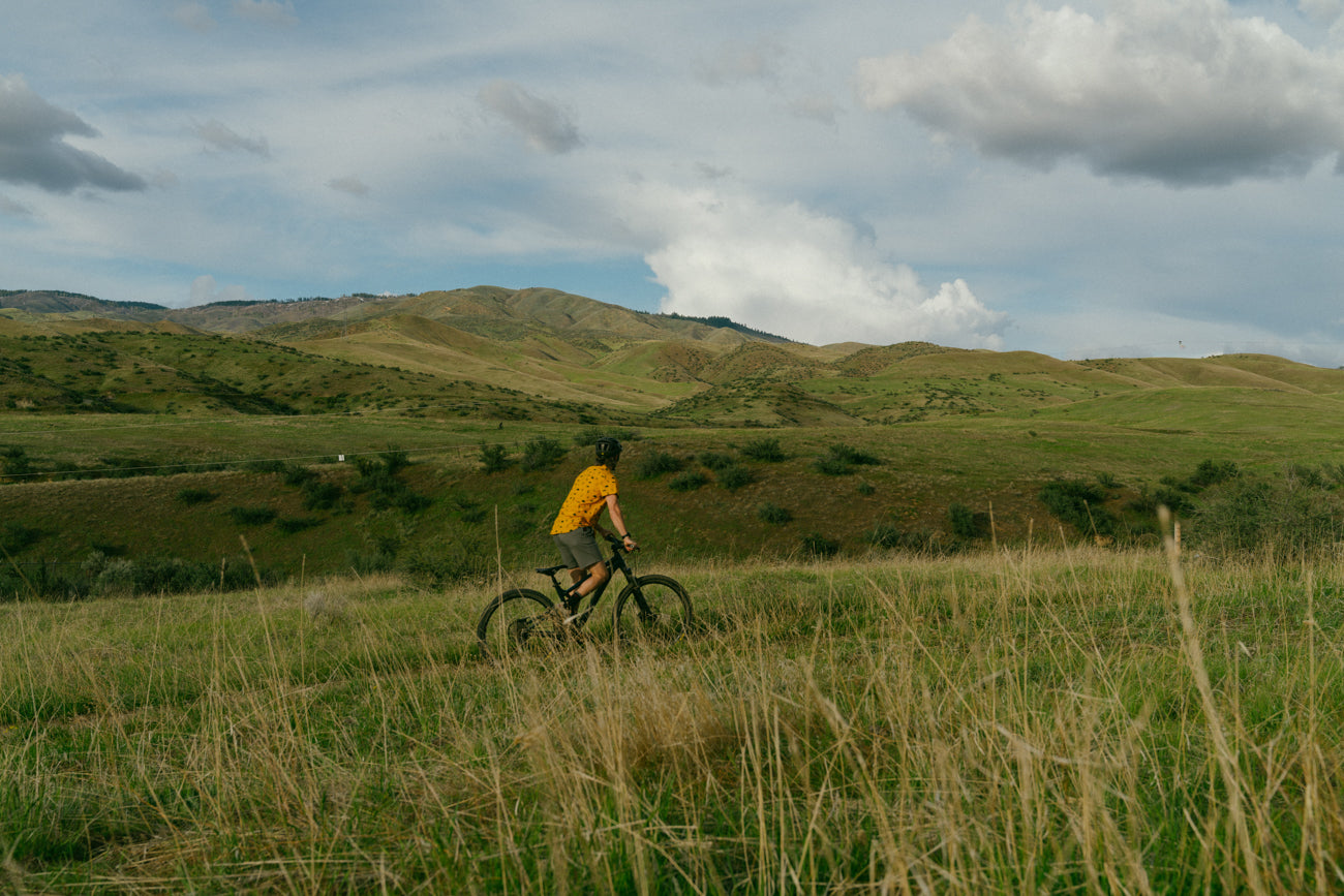 Collection 001 – Rowdee